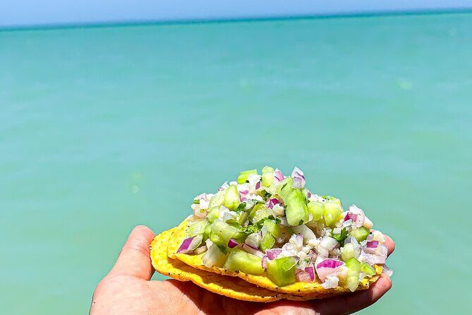 Holbox Island Tour From Cancun with PickUp - Final Thoughts