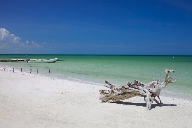 HOLBOX ISLAND TOUR - from Holbox (Private) - FAQ