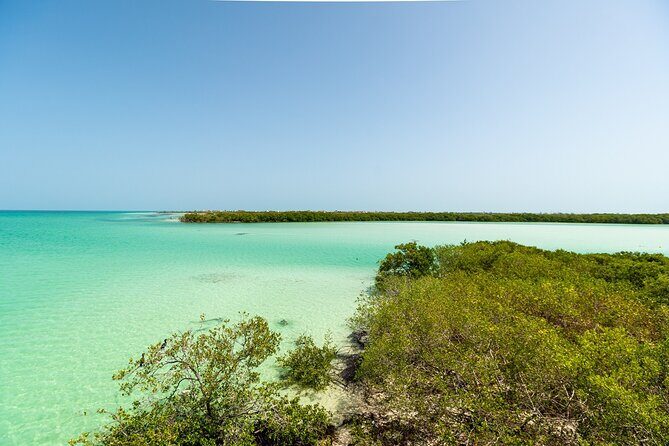 Holbox Island Tour with Pasion Island and Punta Mosquito - Is This Tour Worth It?