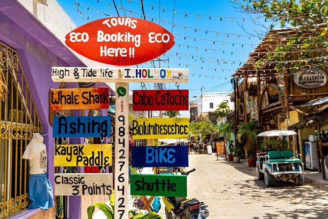 Holbox Island Tour with Pasion Island and Punta Mosquito - Who Should Book This Tour?