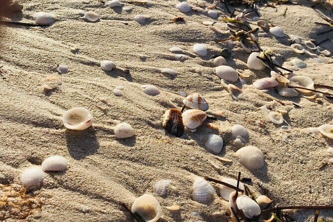 Holbox: Islas Pajaros, Yalahau & Isla de la Pasión with pick up - Final Thoughts