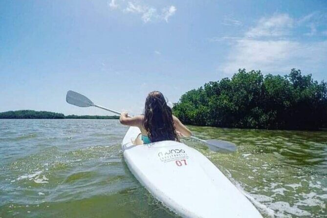 Holbox : Kayaking through Mangroves - Key Points