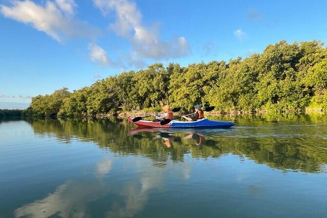 Holbox : Kayaking through Mangroves - An In-Depth Look at the Experience