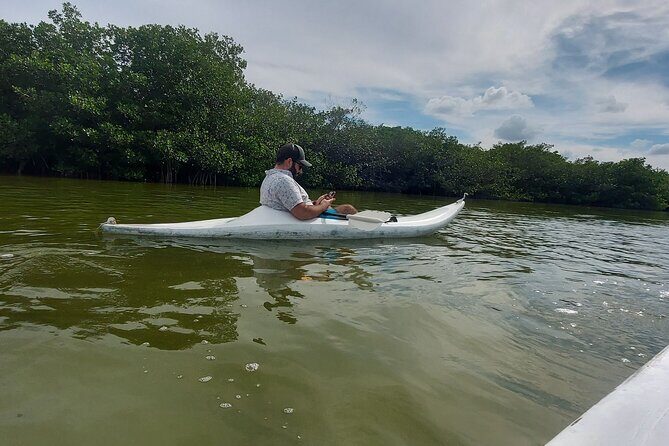 Holbox : Kayaking through Mangroves - Who Will Enjoy This Tour?