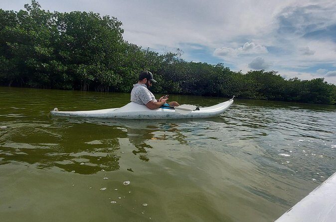 Holbox : Kayaking through Mangroves - Final Thoughts
