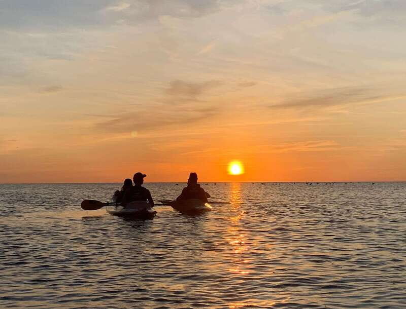 Holbox: Mangrove Sunset Kayak Tour - Holbox: Mangrove Sunset Kayak Tour – An Authentic Eco-Experience in Quintana Roo