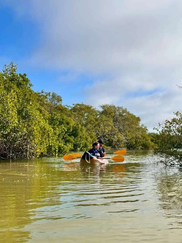 Holbox: Mangrove Sunset Kayak Tour - Final Thoughts