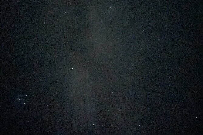 Holbox : Night Kayak and Bioluminescence Experience - What Travelers Are Saying