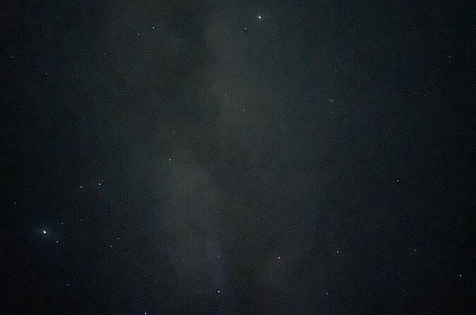 Holbox : Night Kayak and Bioluminescence Experience - Price and Value