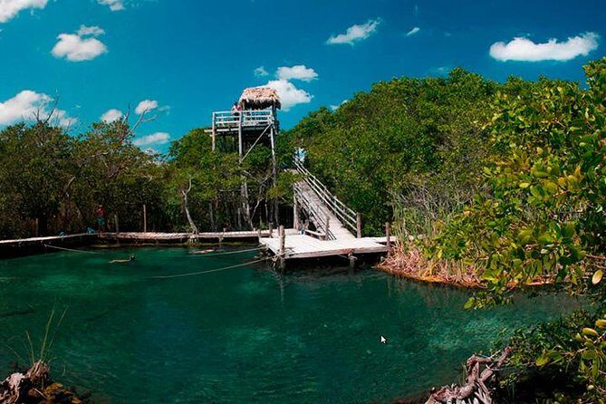 Holbox plus Island Magic by boat Tour from Cancun - The Sum Up
