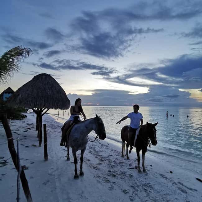 Holbox: Private Horseback Riding - Discovering the Real Experience of Holbox Riding