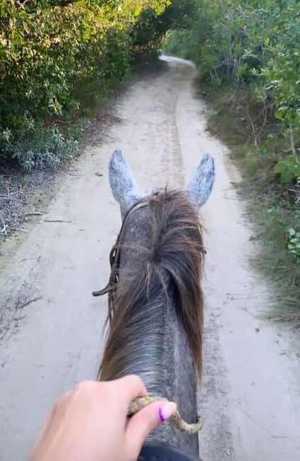 Holbox: Private Horseback Riding - Who Will Really Appreciate This Tour?