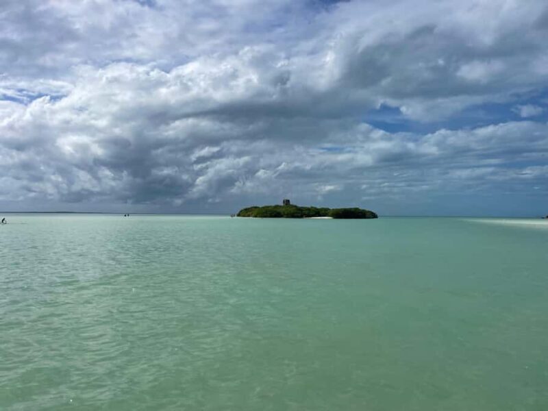 Holbox: Punta Mosquitos, Birds & Pasión Island Boat Tour - Key Points