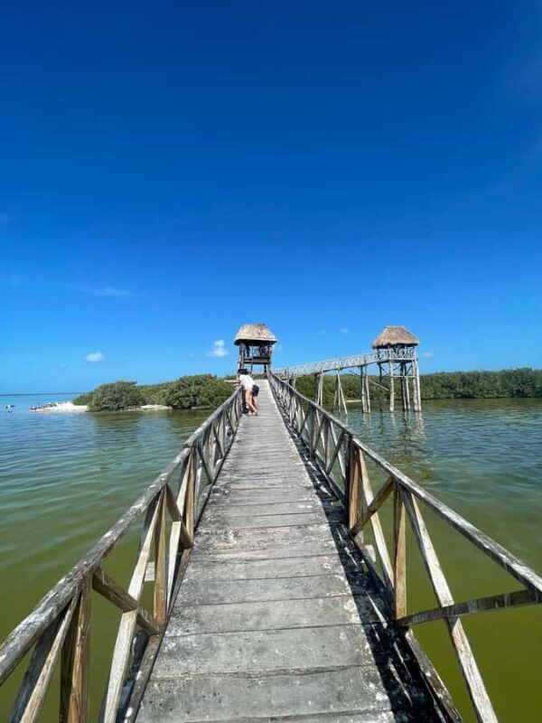 Holbox: Punta Mosquitos, Birds & Pasión Island Boat Tour - Final Thoughts: Who Is This Tour For?