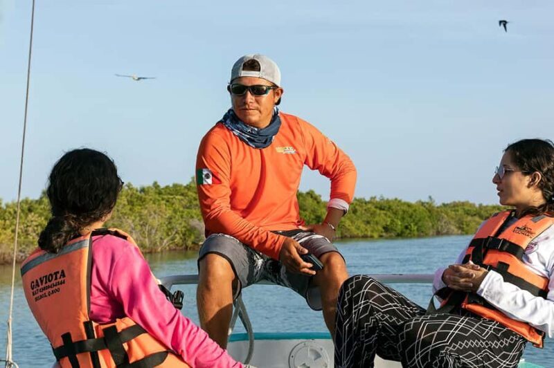 Holbox: Search and Swim with Whale Sharks ! All Inclusive. - An In-Depth Look at the Tour