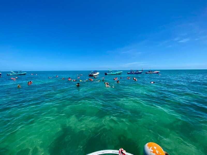 Holbox: Snorkeling, Fishing, and Ceviche Tour - A Review of the Criticisms