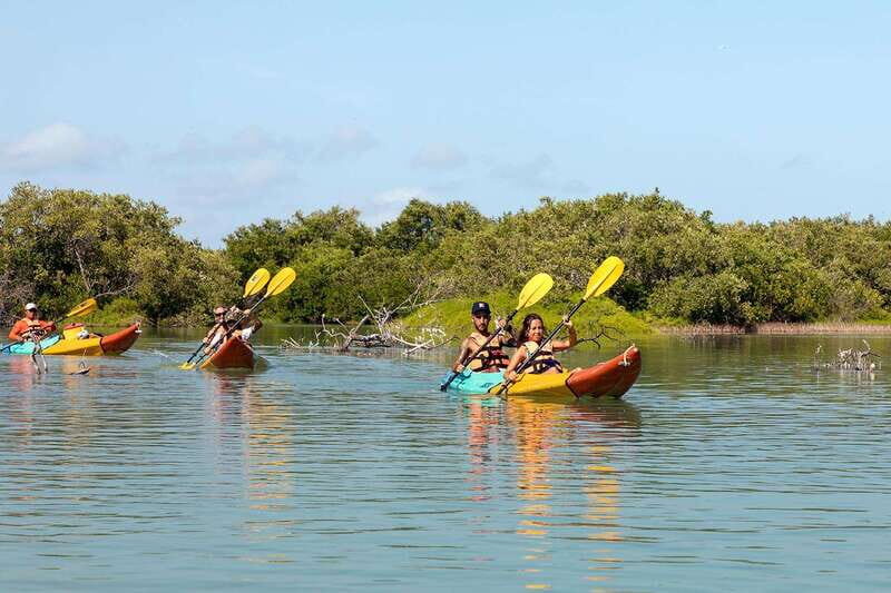 Holbox: Sunrise Kayak Tour through the Mangroves - Key Points