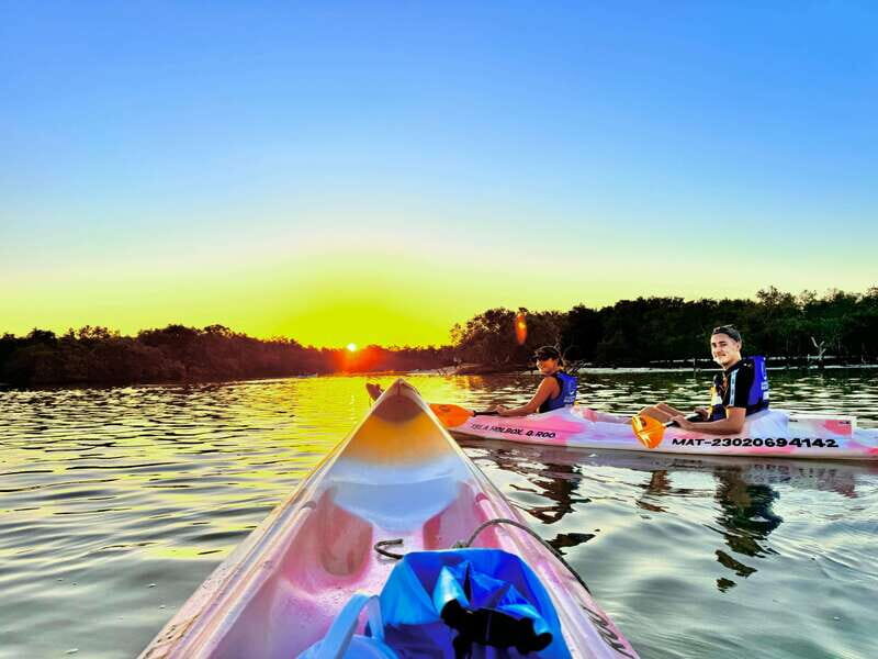 Holbox: Sunrise & Mangrove Kayak Tour - Authentic Reviews: What Visitors Say