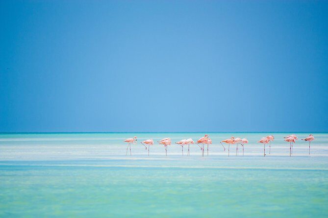 Holbox tour from Cancun and Riviera Maya - The Sum Up