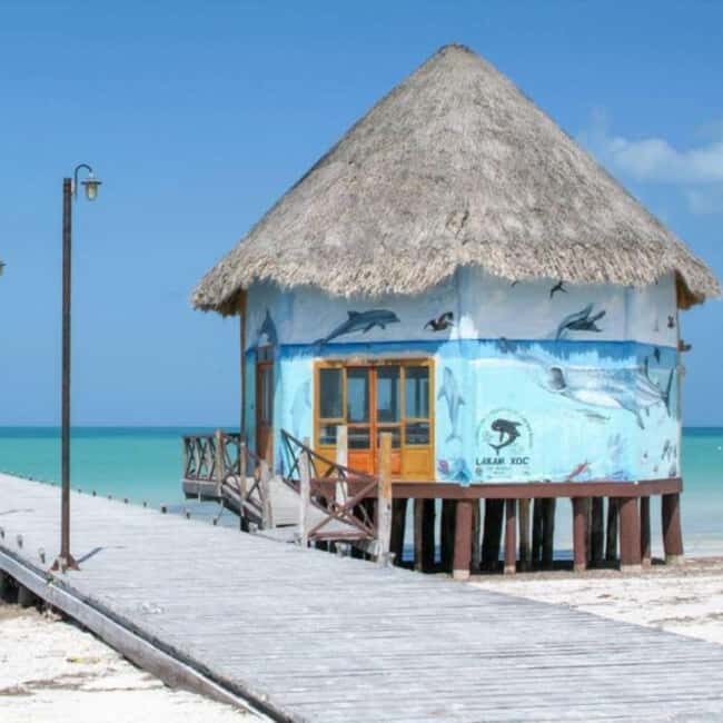 Holbox: Tour of Holbox Island, Isla Pasión, and Punta Mosquito. - An Honest Look at the Tour: What to Expect
