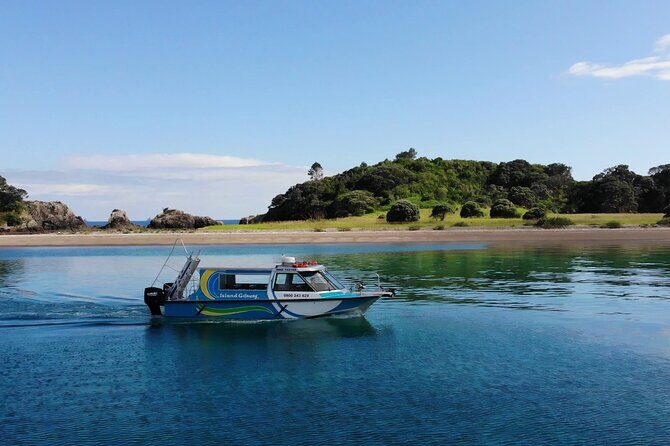 Hole in the Rock Cruise & Island Stopover (Half Day) - Visiting Motukokako Island / Piercy Island