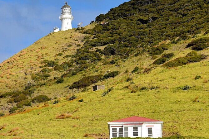 Hole in the Rock Cruise & Island Stopover (Half Day) - Weather and Flexibility