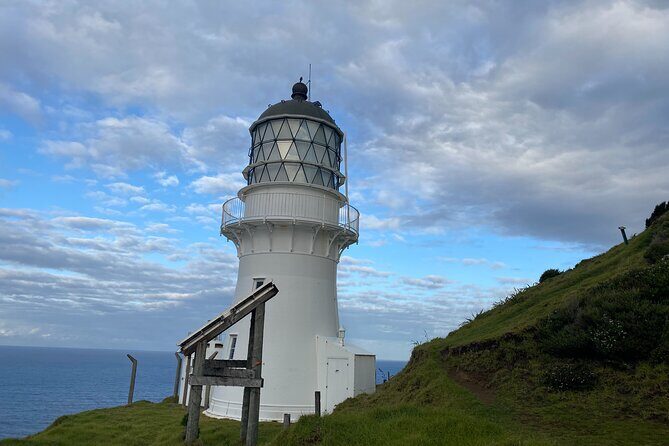 Hole in the Rock Cruise & Island Stopover (Half Day) - Suitability and Recommendations