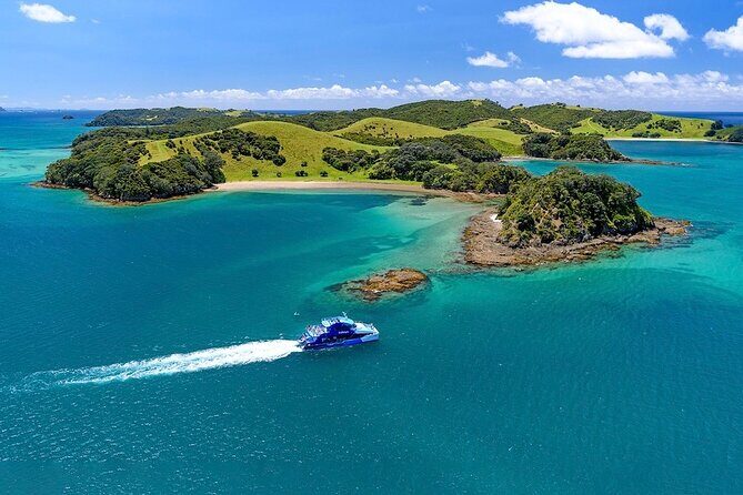 Hole in the Rock Dolphin Cruise Tour Round Trip from Auckland - Introduction: Why This Cruise Is Worth Considering