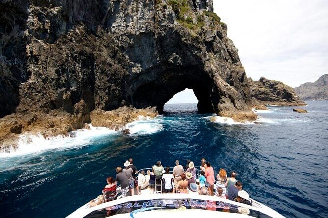 Hole in the Rock Dolphin Cruise Tour Round Trip from Auckland - Pricing and Value Analysis