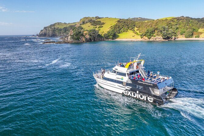 Hole in the Rock Dolphin Cruise Tour Round Trip from Auckland - Who Is This Tour Best For?