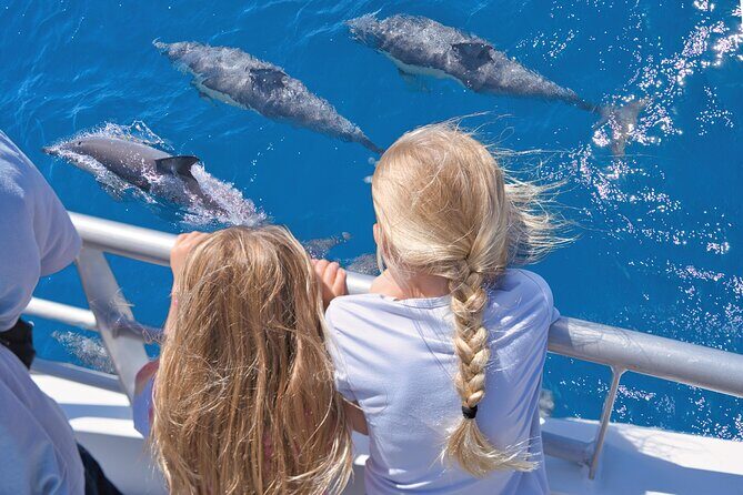 Hole in the Rock Dolphin Cruise Tour Round Trip from Auckland - FAQs about the Hole in the Rock Dolphin Cruise from Auckland