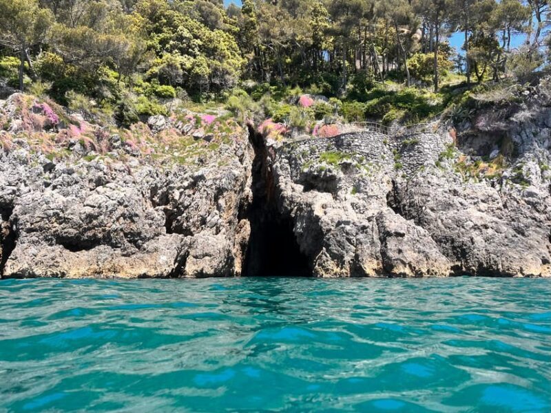 Holiday Golfo dei Poeti: Boat Tour and Tasting - Who Should Book This Experience