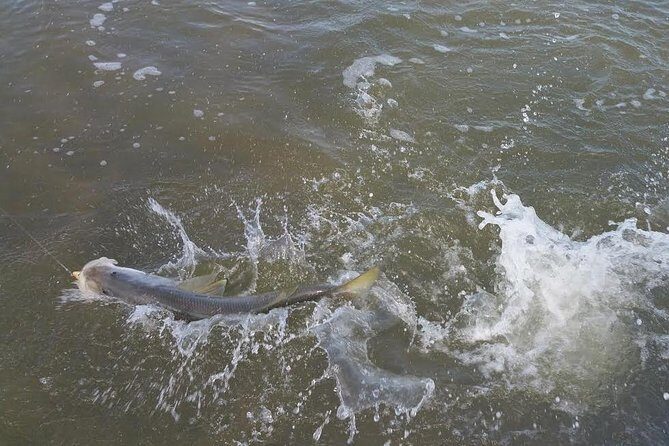 Holiday Inshore Fishing Charters - The Experience and What You’ll Love