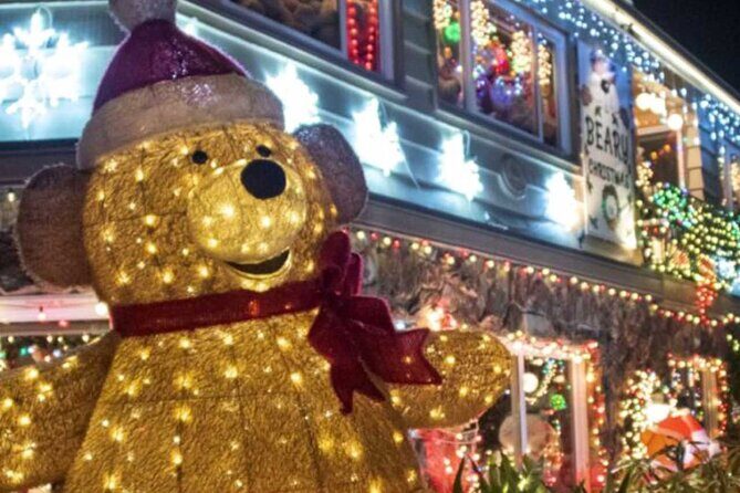 Holiday Lights Cruise Throughout Luxurious Newport Beach Harbor - The Experience in Detail: What Youll See and Feel