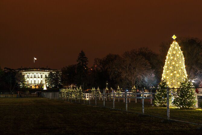 Holiday Lights Private Night Bus Tour of Washington DC - Why Choose This Tour?
