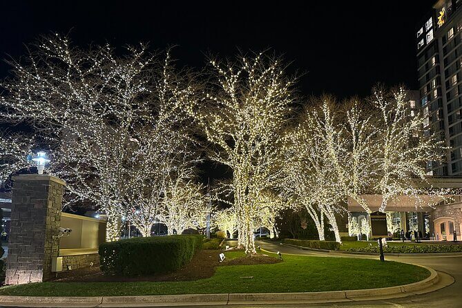 Holiday Lights Private Night Bus Tour of Washington DC - Final Thoughts: Who Will Love It?
