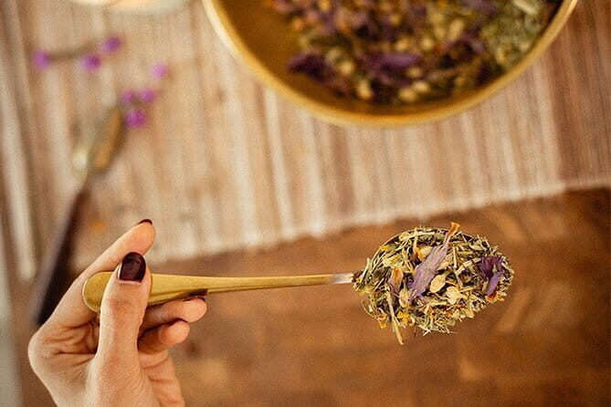 Holistic Ayurveda & Naturopathy Workshop - What to Expect from the Workshop