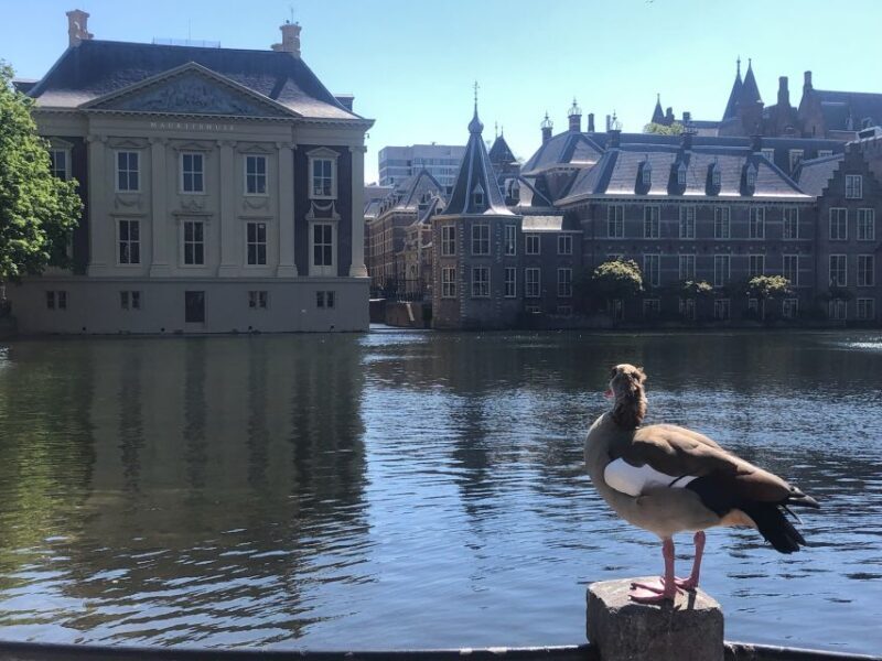Holland Four City Charm Tour - The Sum Up