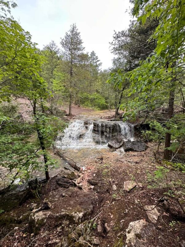 Hollister: 4-Seater CanAm UTV Off-Road Rental - Key Points