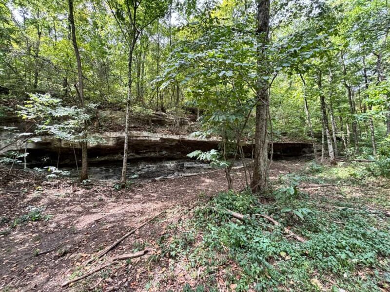 Hollister: 4-Seater CanAm UTV Off-Road Rental - An Authentic Off-Road Experience in Missouri’s Ozarks