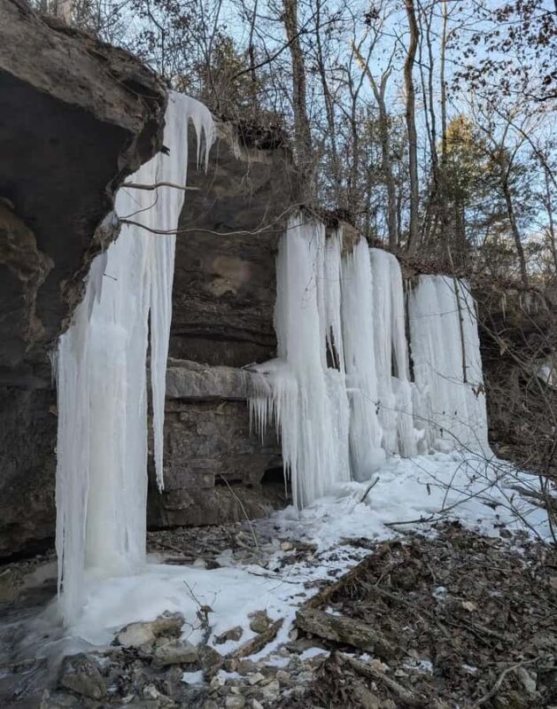 Hollister: 4-Seater CanAm UTV Off-Road Rental - Safety and Practicalities