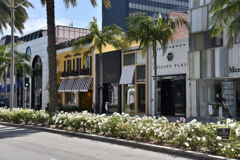 Hollywood, Beverly Hills, Santa Monica, Venice Beach Tour. - The Sum Up: Who Will Love This Tour?