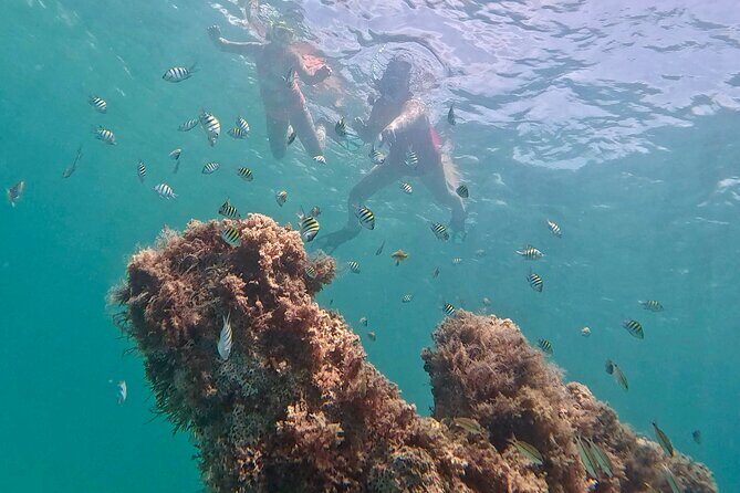 Hollywood Snorkel, Kayak & Paddleboard with Reefs and Sculptures - The Itinerary: A Perfect Mix of Action and Relaxation