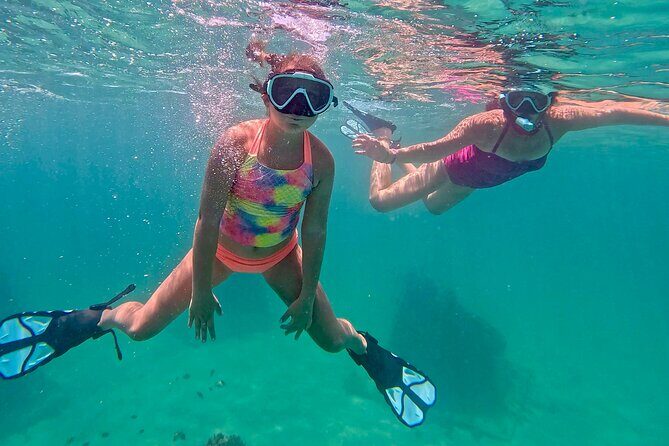 Hollywood Snorkel, Kayak & Paddleboard with Reefs and Sculptures - The Bottom Line: Who Should Book This Tour?
