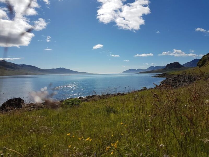 Hólmanes: Guided Nature Walk - The Sum Up