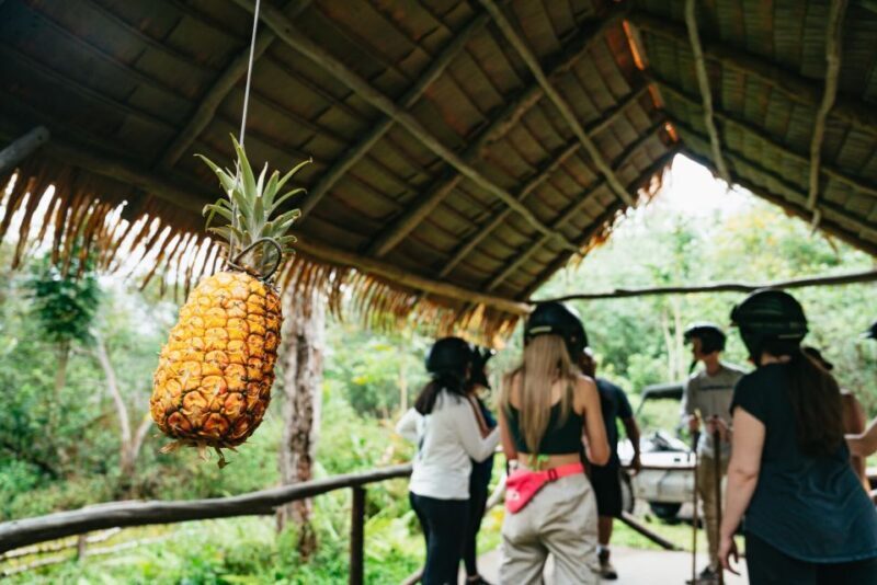 Holualoa: Polynesian Culture ATV Tour - Who Will Love This Tour?