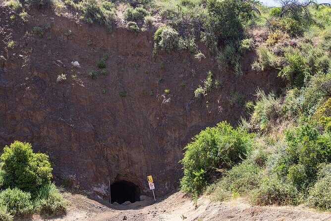 Holy Biodiversity, Batman! A Naturalist's "Batcaves" Tour - Key Points