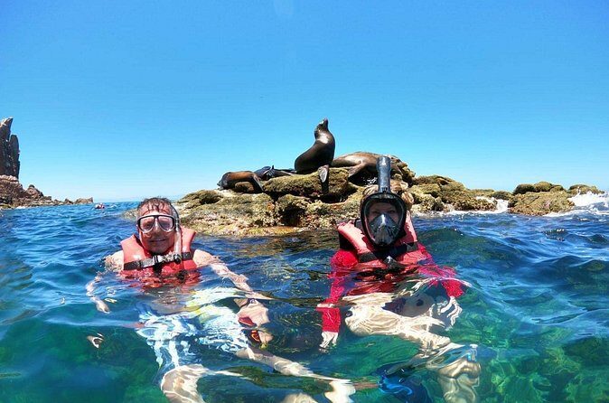 Holy Spirit Island Tour and snorkeling with sea lions - FAQ