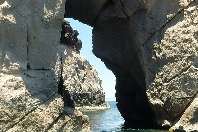 Holy Spirit Island Tour Sea Lions Snorkeling and Beach - Exploring the Tour Itinerary in Detail