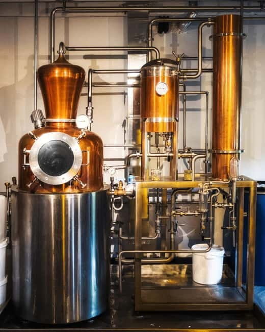Holyrood Distillery Gin Tasting Experience - The Experience in Detail